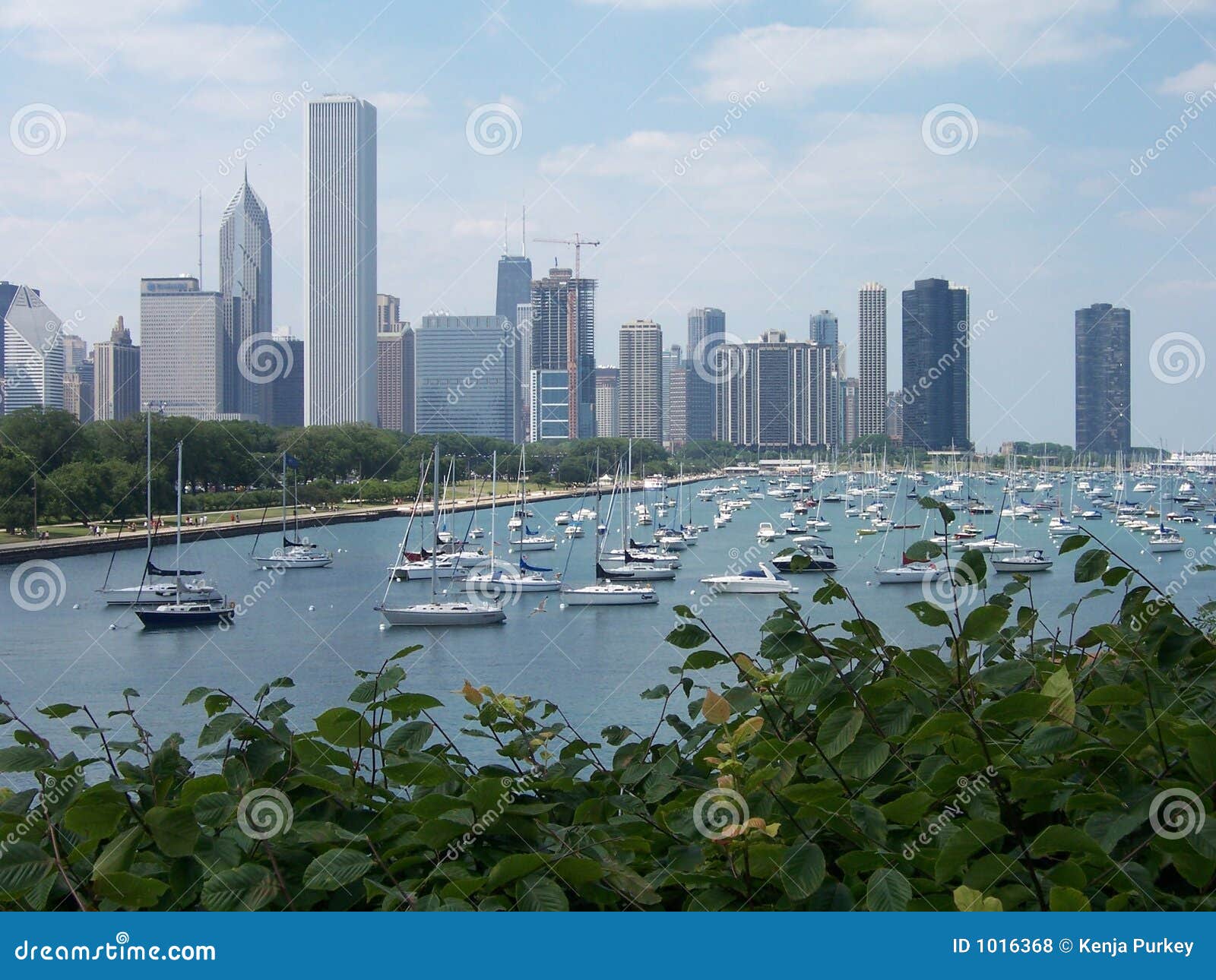 Baixa De Chicago E Lago Michigan Foto de Stock - Imagem de ilillinois ...