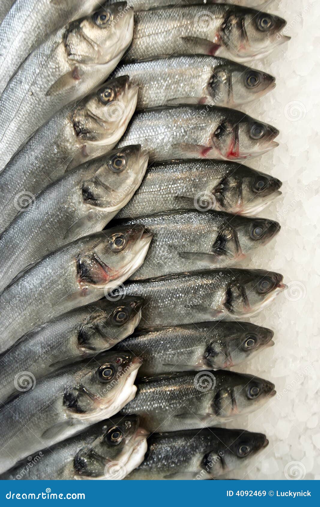 Baixo de mar imagem de stock. Imagem de gelo, boca, europa - 4092469