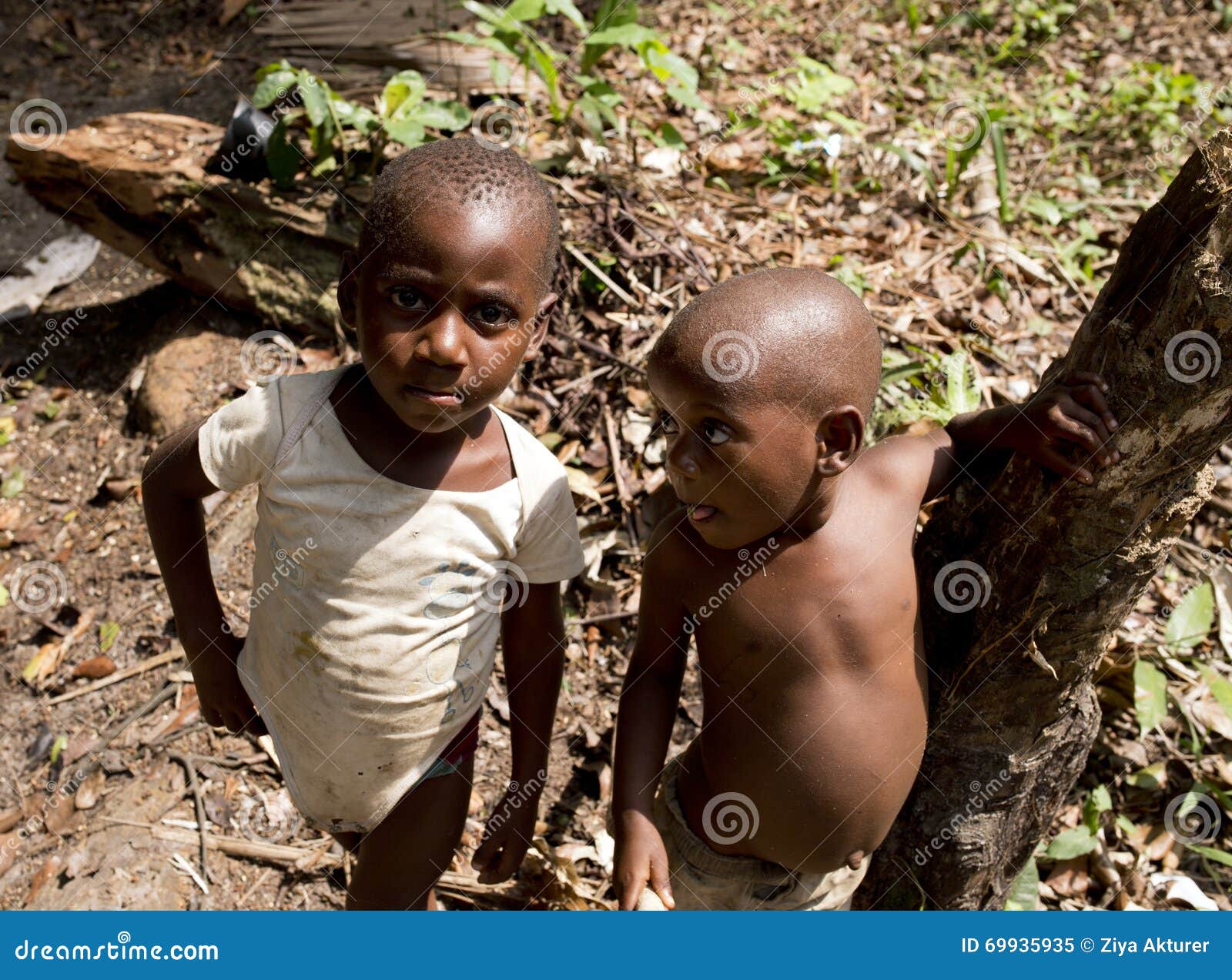 Baka people editorial image. Image of mother, group, family - 69935935