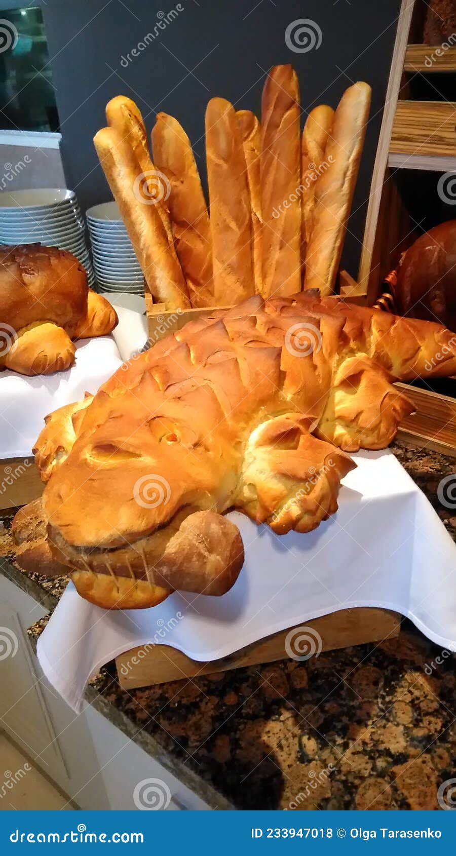 Crocodile Bread stock photo. Image of lying, loaf, bread - 233947018