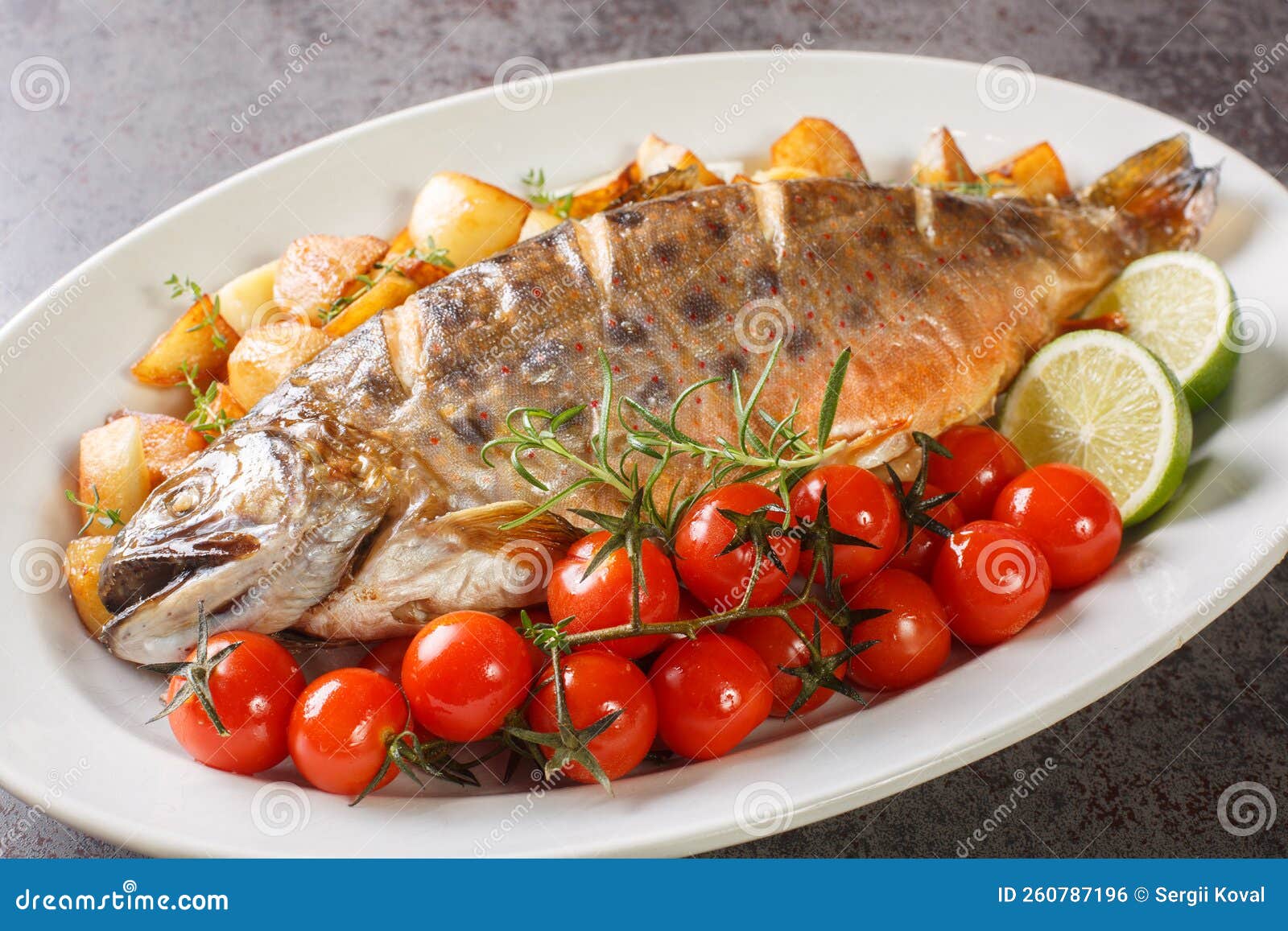 Baked Fish Arctic Char with Vegetables and Herbs Closeup on the White ...