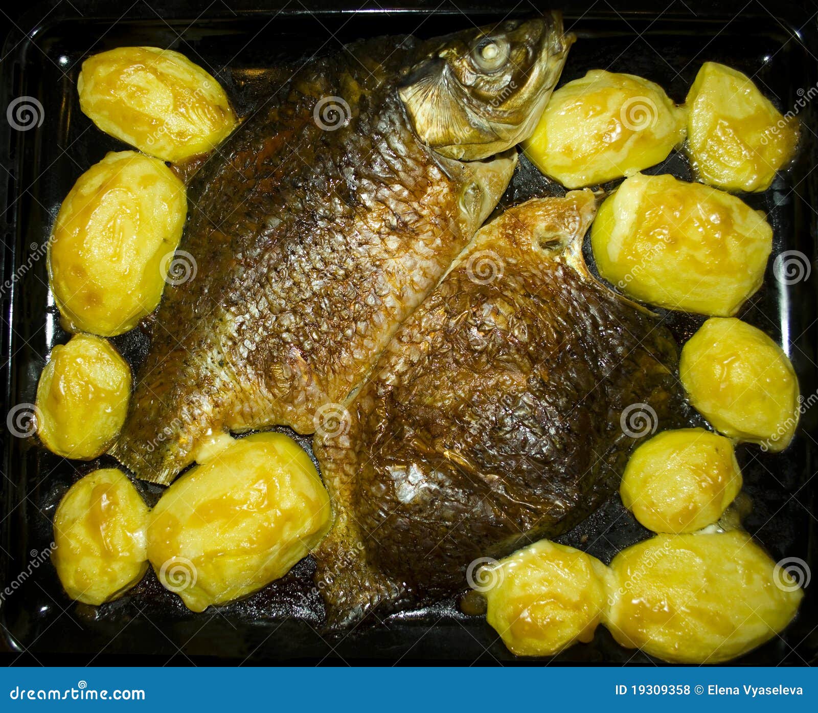 Baked fish with potatoes stock photo. Image of cuisine - 19309358