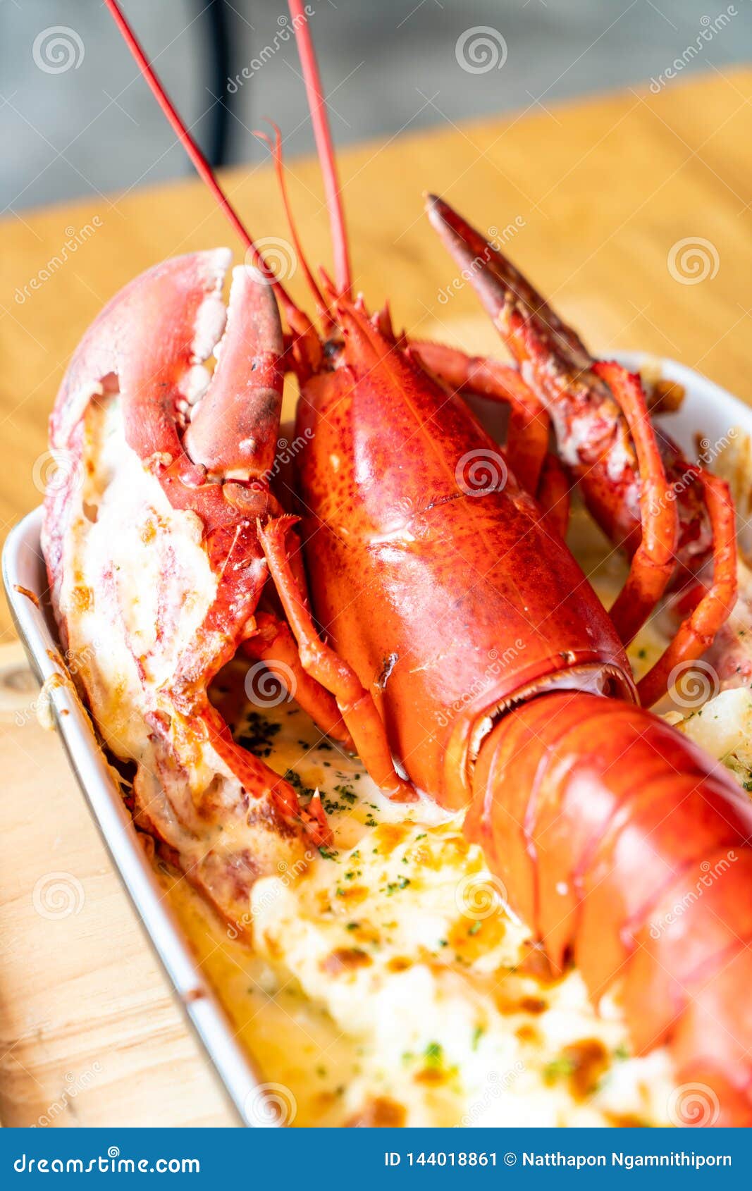 Baked lobster with cheese stock image. Image of gourmet - 144018861