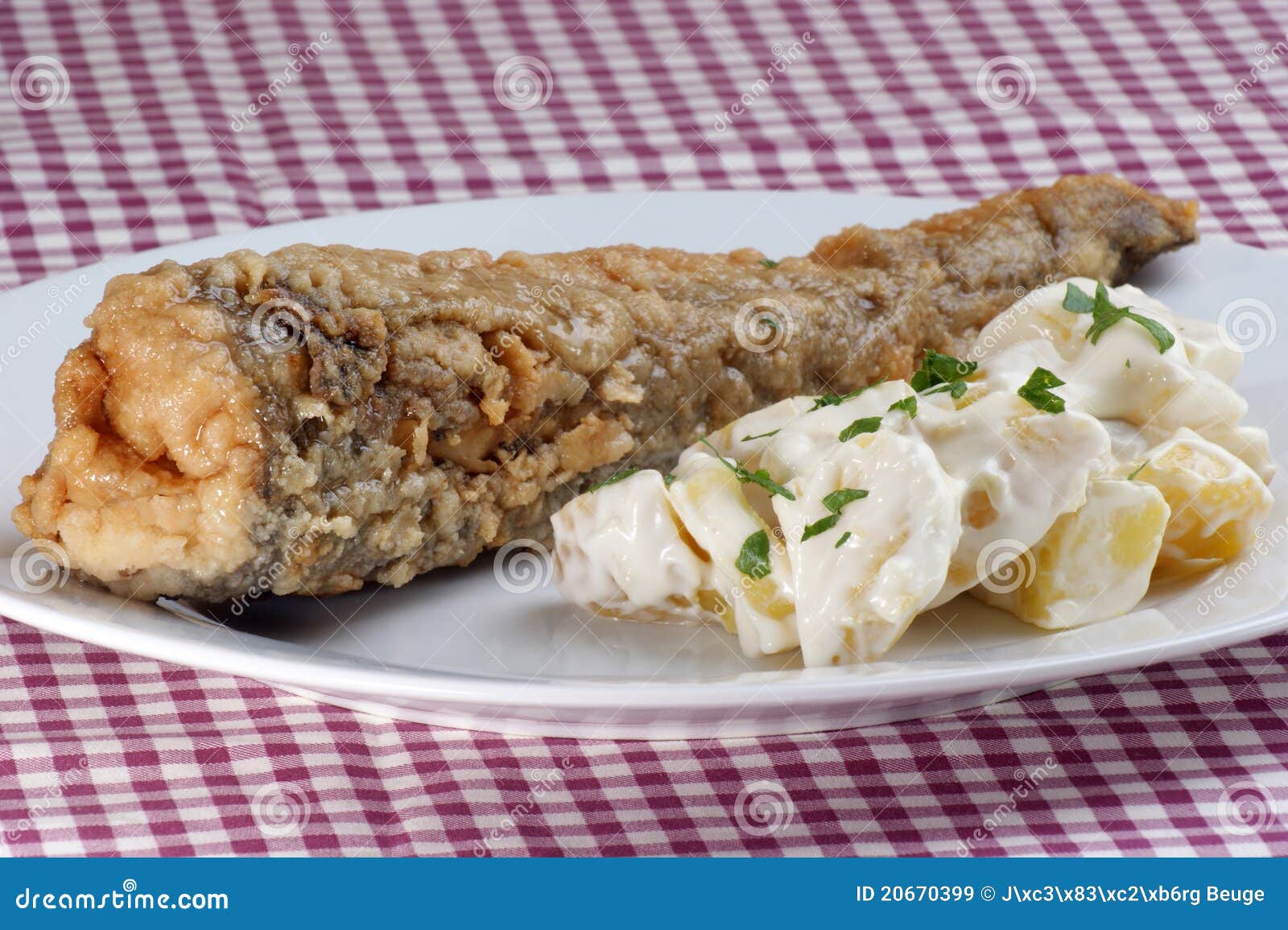 Baked Perch with Potato Salad on a Plate Stock Image - Image of grilled ...