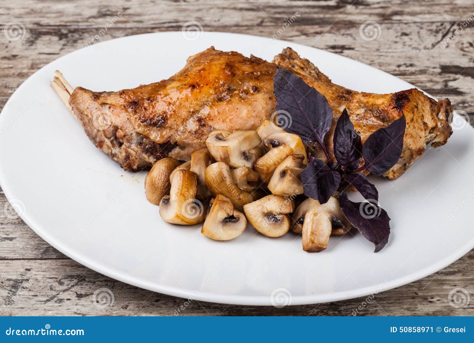 Baked rabbit stock image. Image of style, portion, cuisine - 50858971
