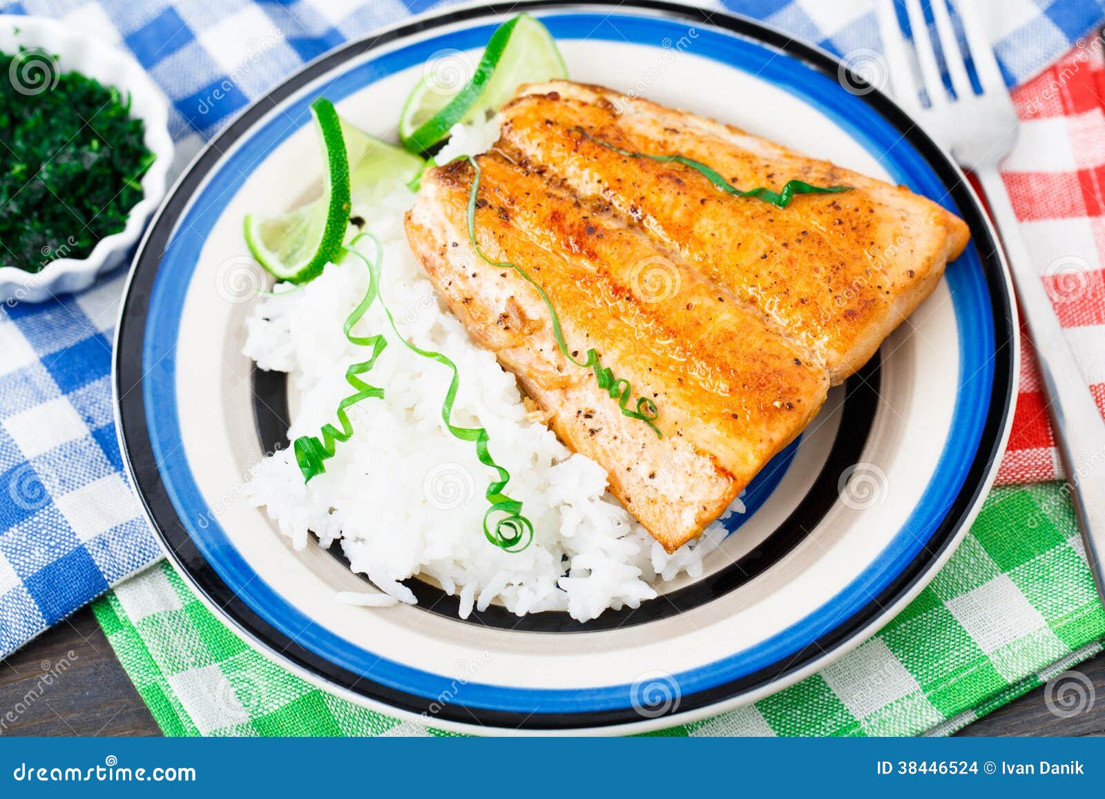 Baked salmon with rice stock photo. Image of scallion - 38446524