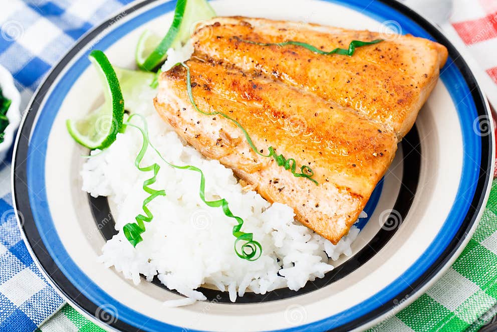 Baked salmon with rice stock photo. Image of baked, cooked - 38670182