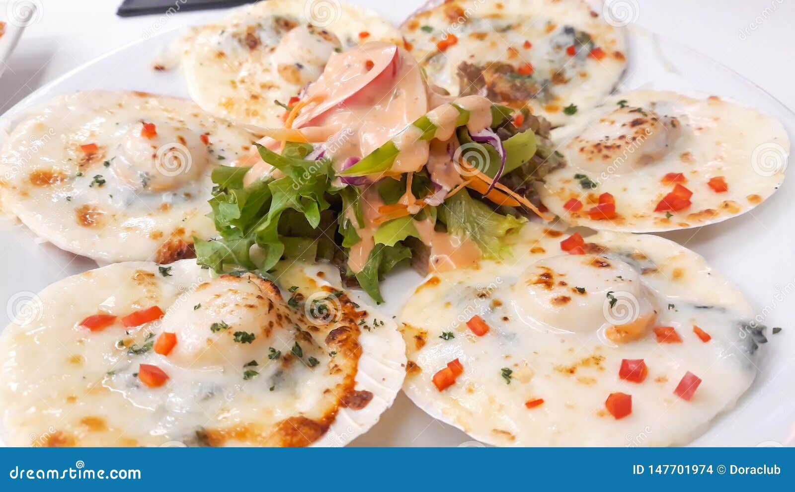 Baked scallops with cheese stock photo. Image of gourmet - 147701974