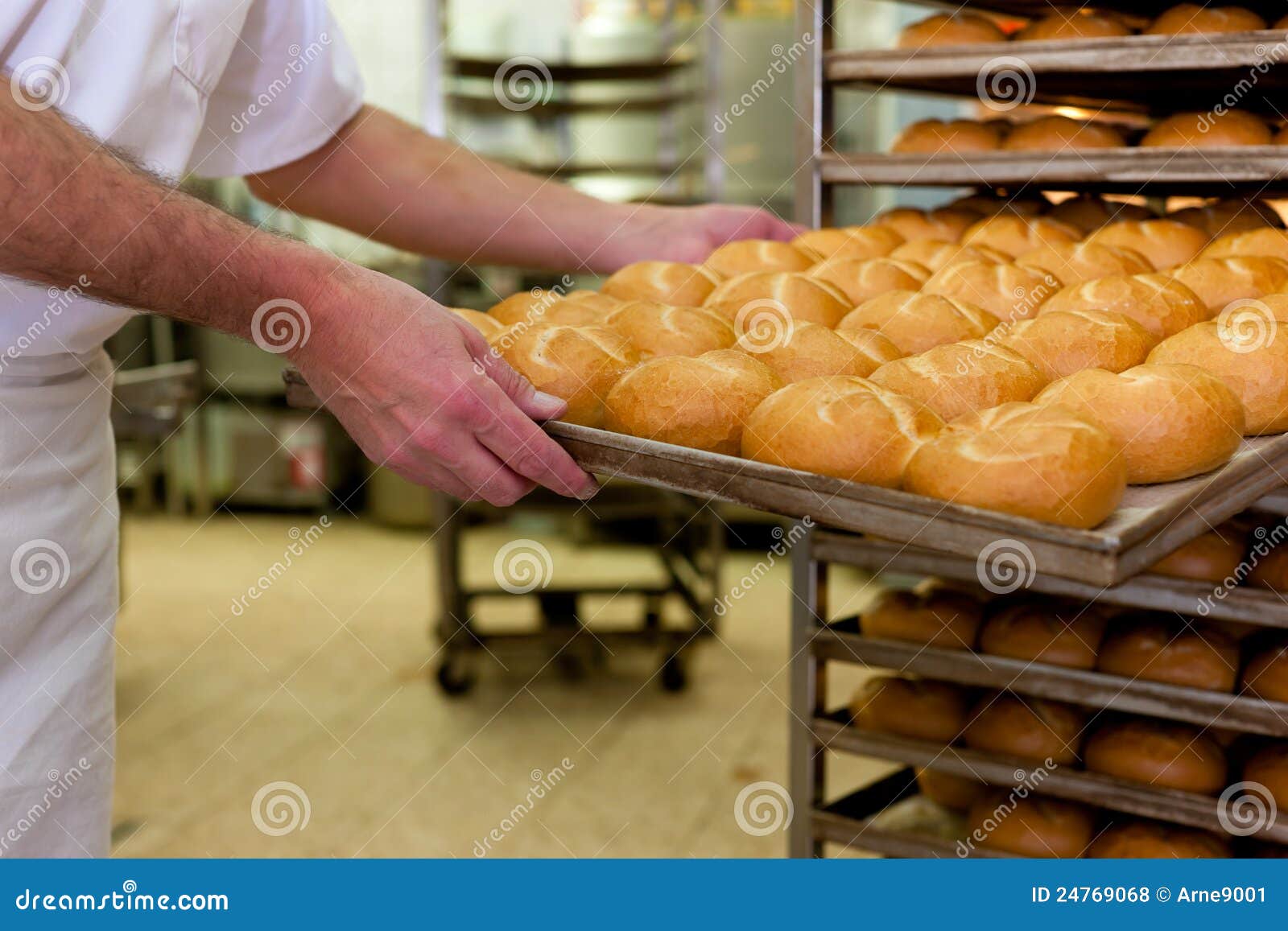 Baker in his bakery stock photo. Image of buns, baker - 24769068