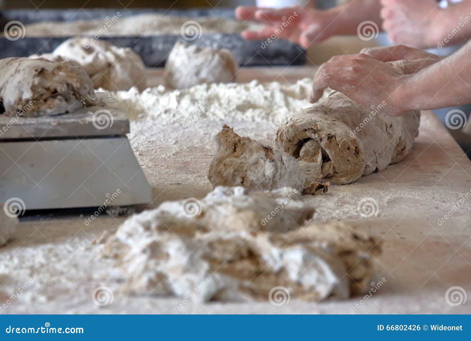 Baker Kneading Dough for Bread in a Bakery Stock Photo - Image of bread ...