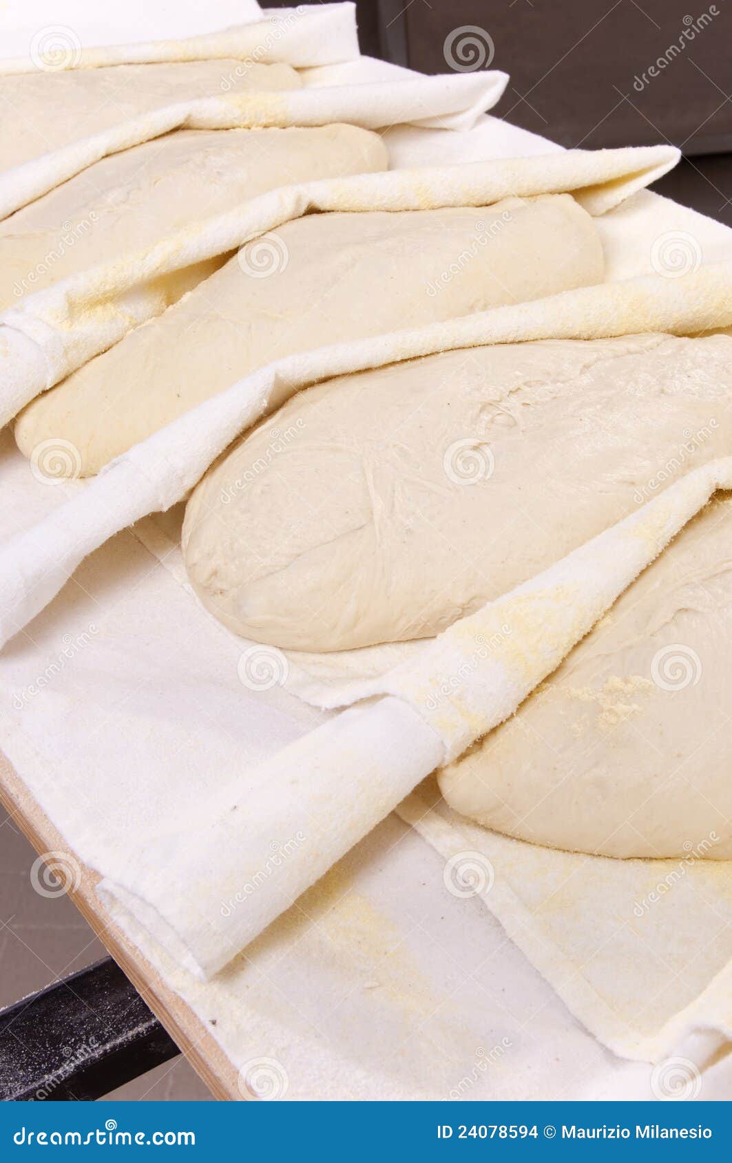 Baker makes the bread stock photo. Image of oven, manual - 24078594