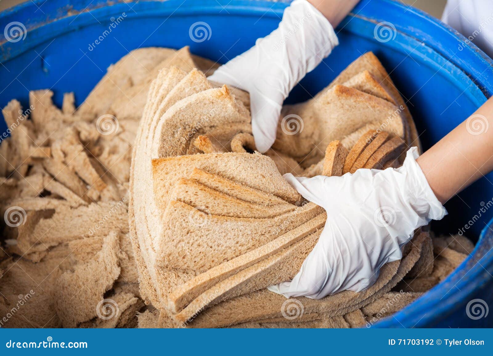 Baker S Hands Discarding Bread Waste in Garbage Bin Stock Photo - Image ...