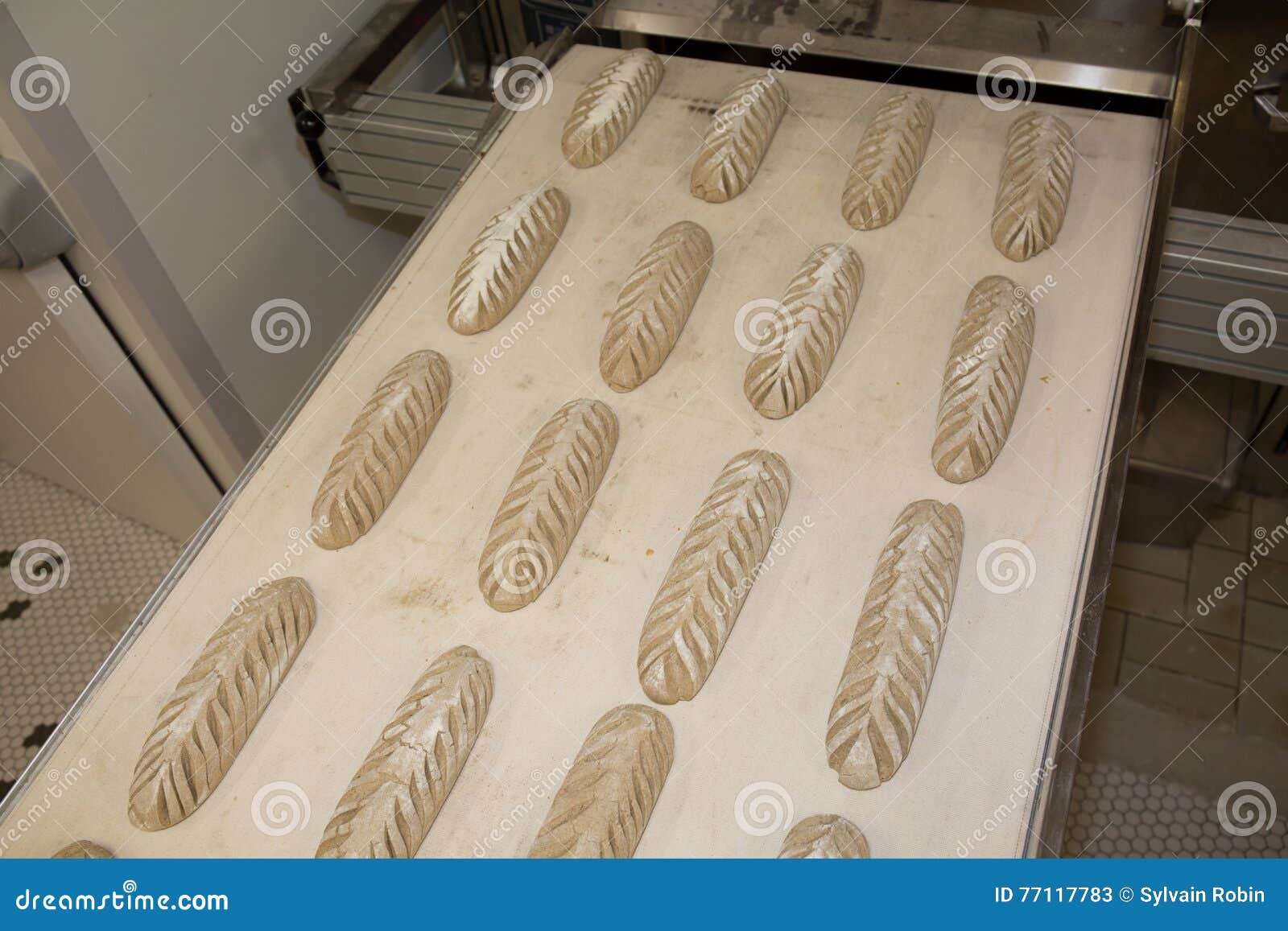 Baker Taking Fresh Baked Bread from Oven. Manufacturing Process Stock ...