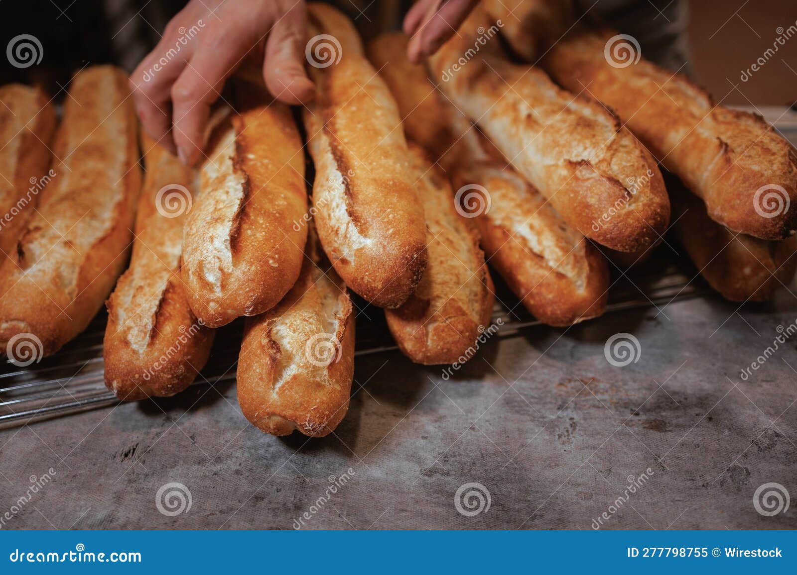 Baker Working in the Kitchen, Preparing Loaves of Bread Stock Image ...