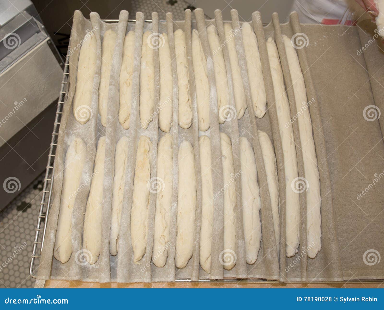 Baker Working with Uncooked Dough Forming it into Long Rolls Stock ...