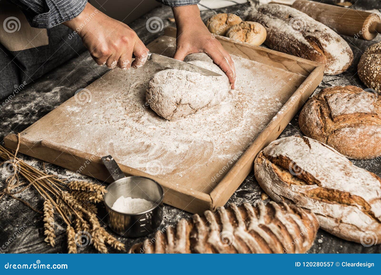 Bakery - Baker`s Hands and Raw Dough - Making Bread Stock Image - Image ...