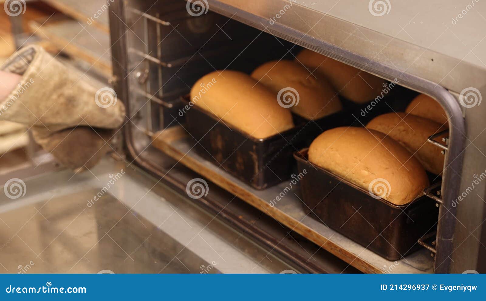 Bakery Baking Process in Factory. Bakery Activity. Process of Preparing ...