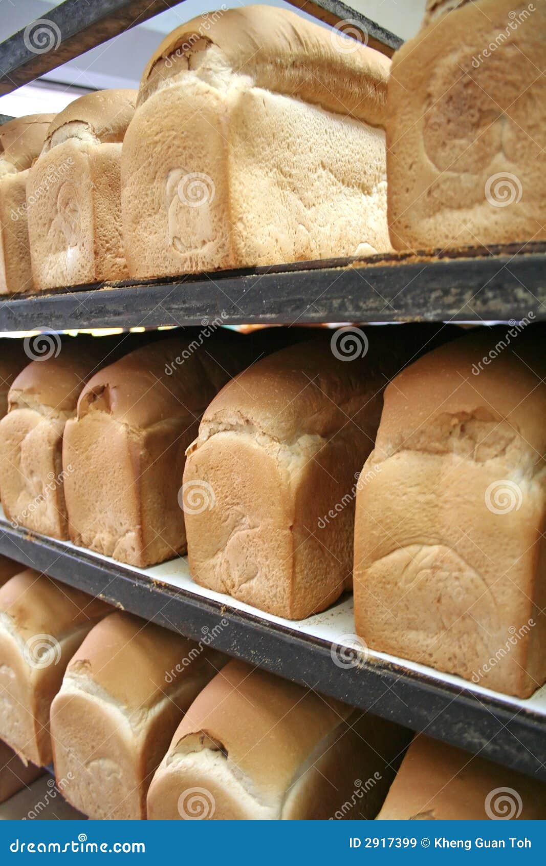 Bakery bread stock image. Image of industry, bakehouse - 2917399