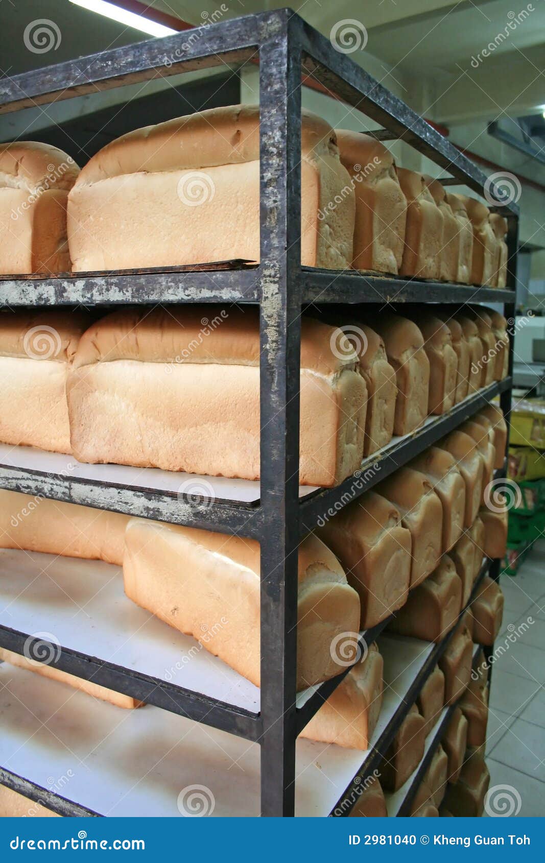 Bakery bread stock photo. Image of pastry, baking, factory - 2981040