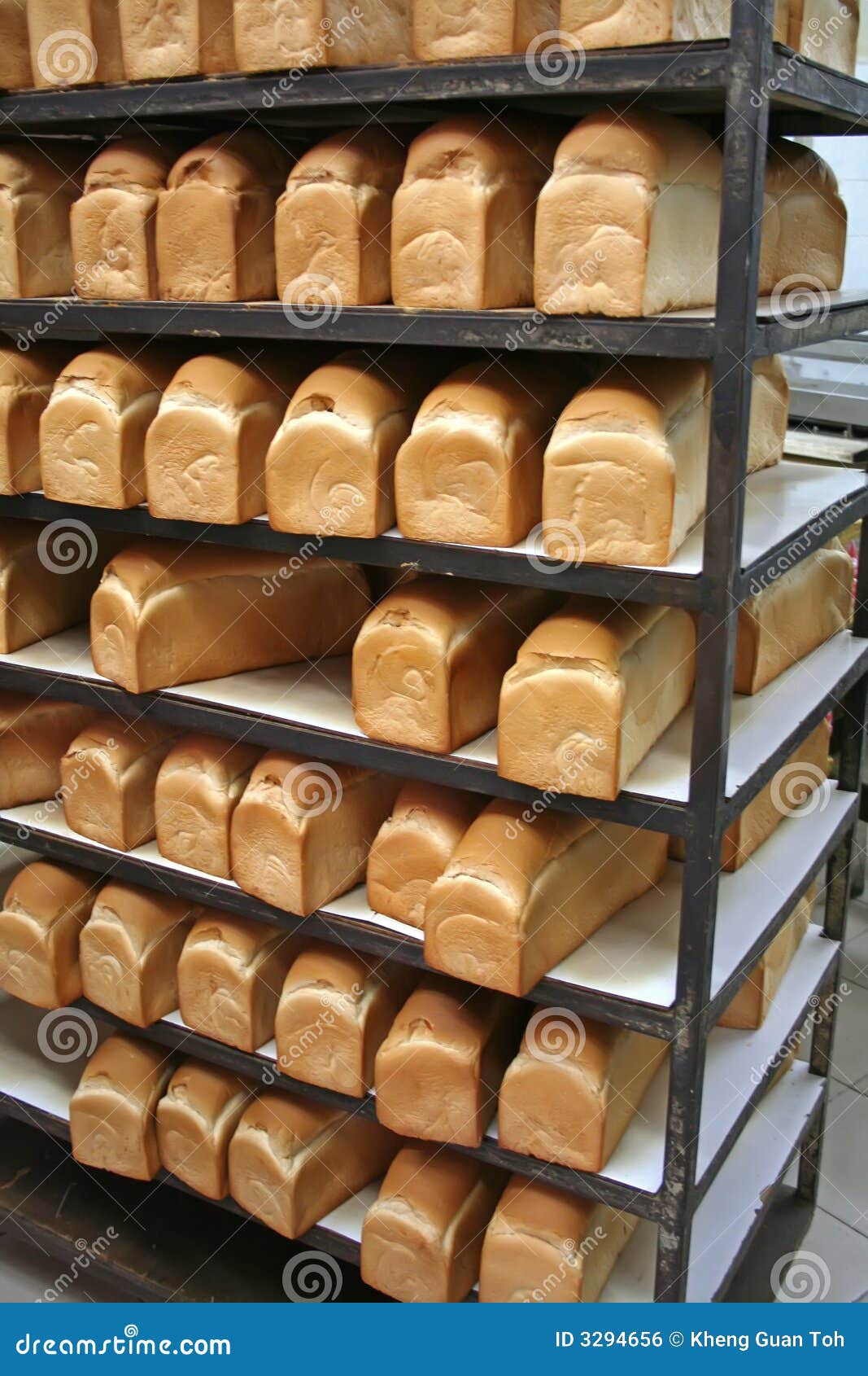 Bakery bread stock photo. Image of bake, bakery, industry - 3294656
