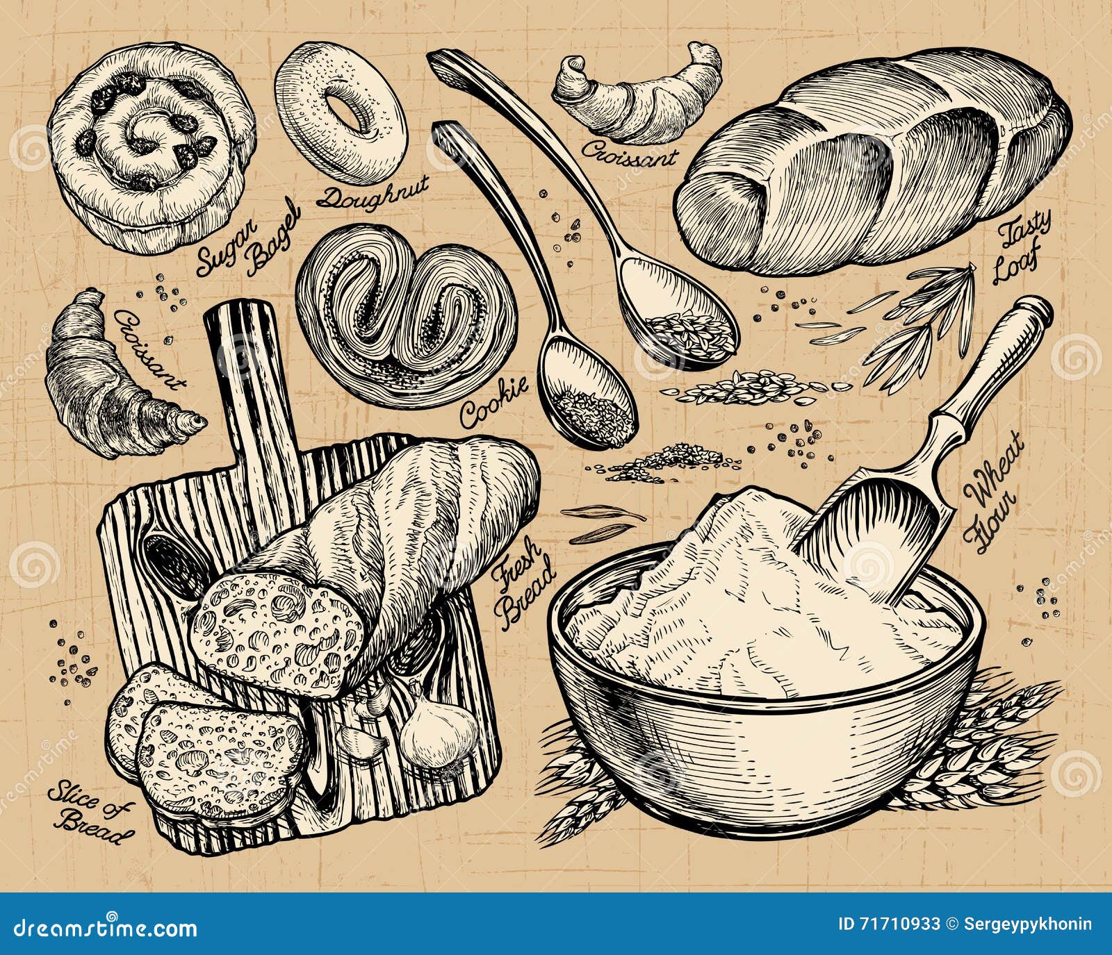 Bakery, Bread. Hand-drawn Sketches of Food. Vector Illustration Stock ...