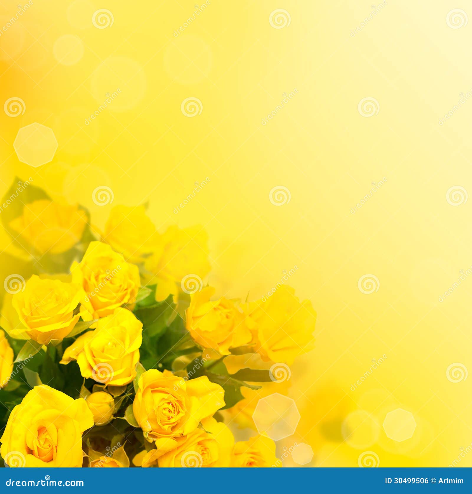 Bakgrund med gula rosor arkivfoto. Bild av blomma, bakgrund - 30499506
