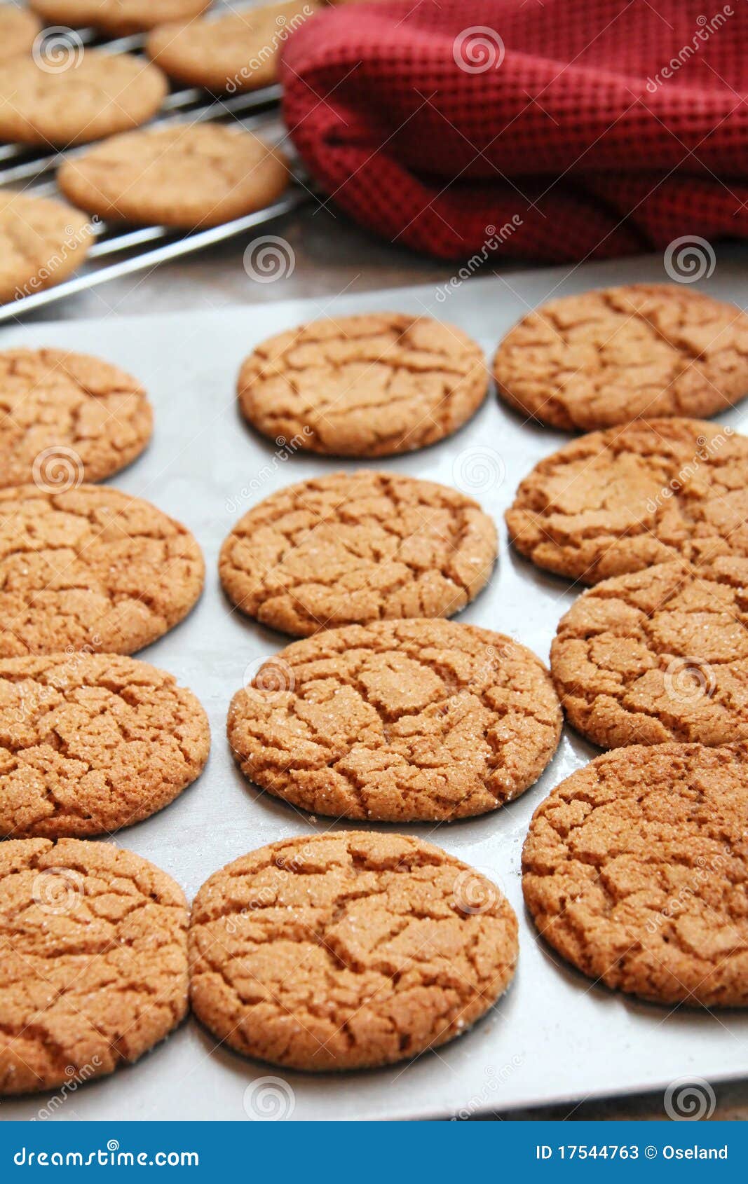 Baking Ginger Cookies stock image. Image of holiday, kitchen - 17544763