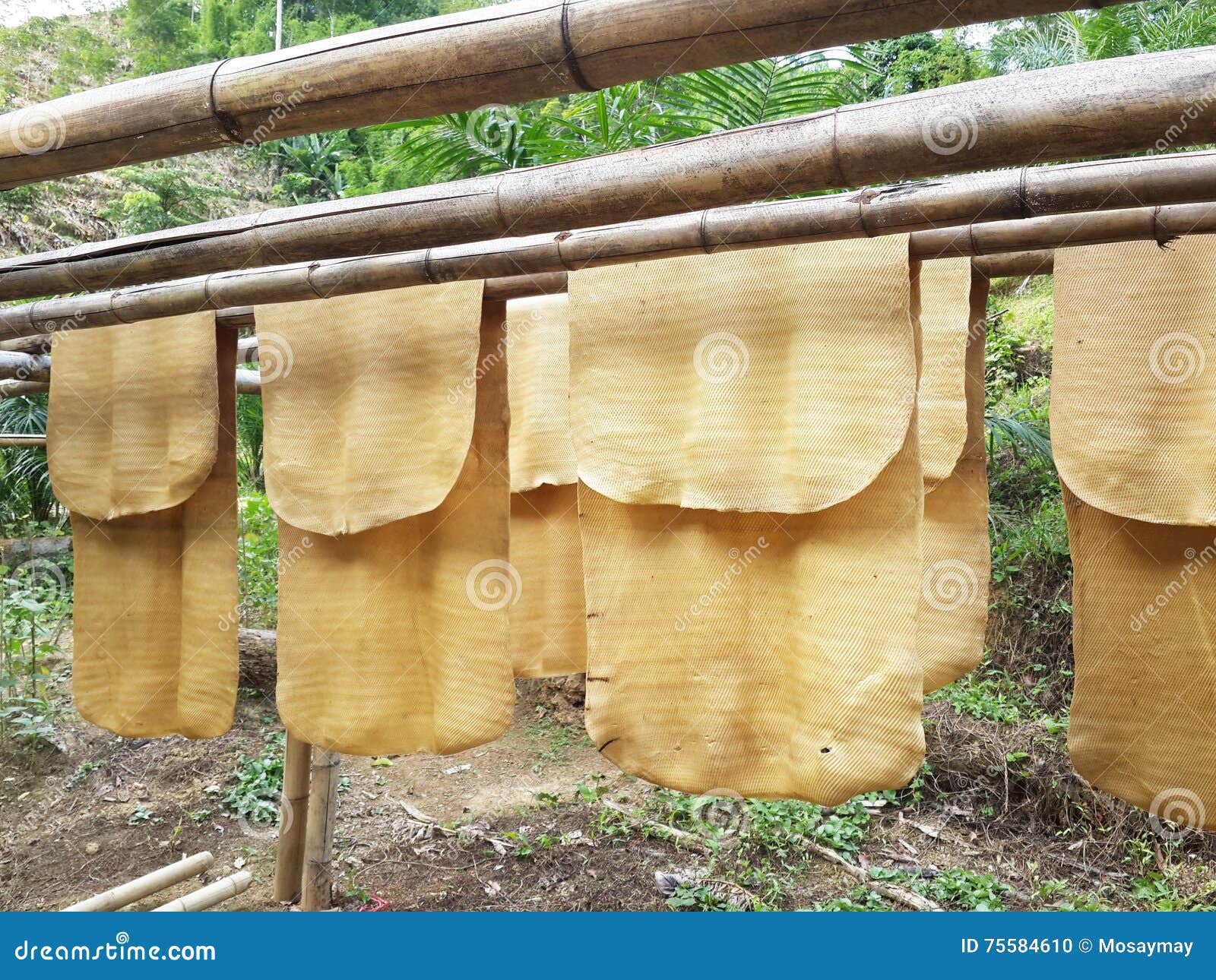 Baking Rubber Process with Solar Energy Stock Photo - Image of texture ...