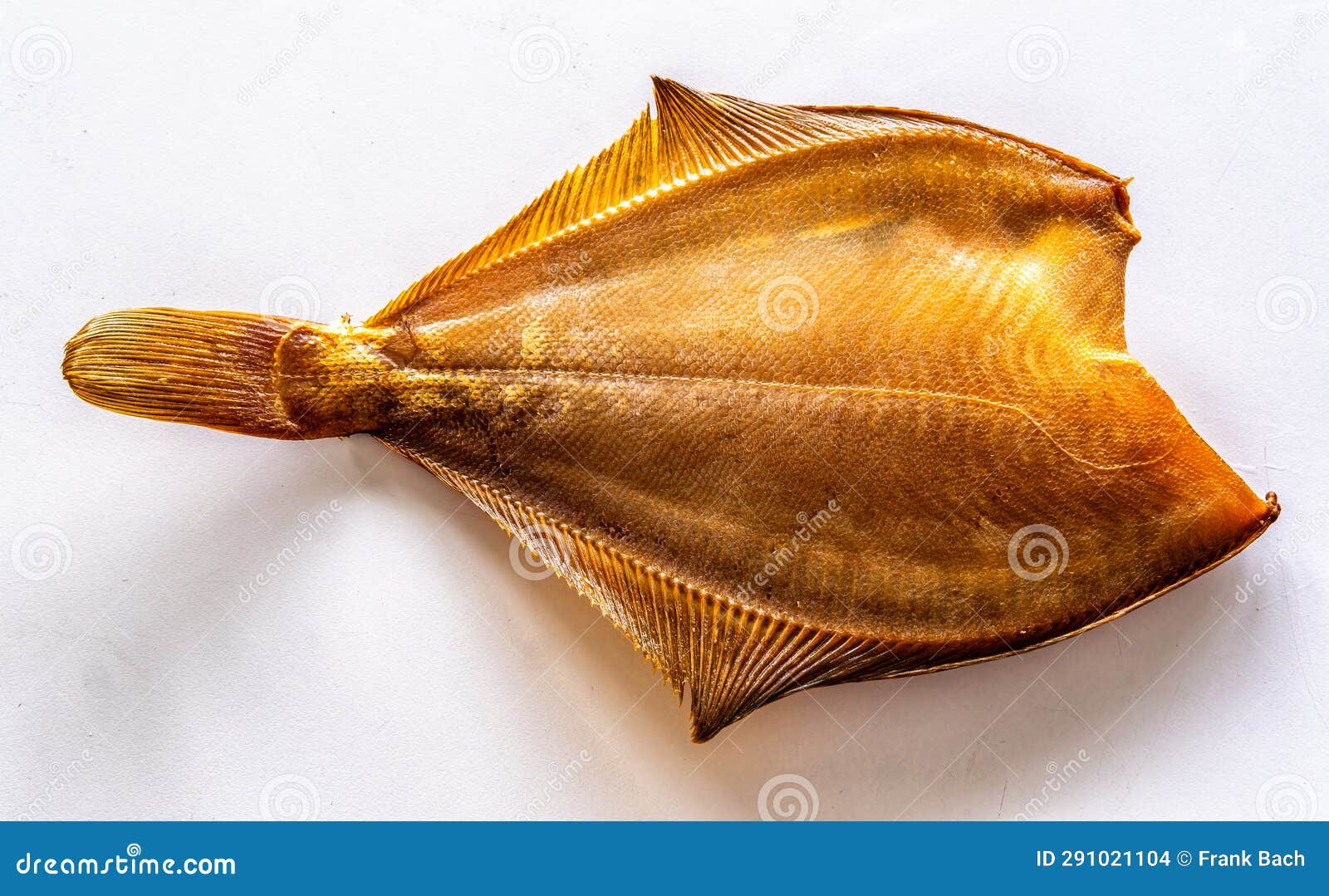 Bakskuld, Smoked and Salted Fish, from the West Coast of Denmark Stock ...