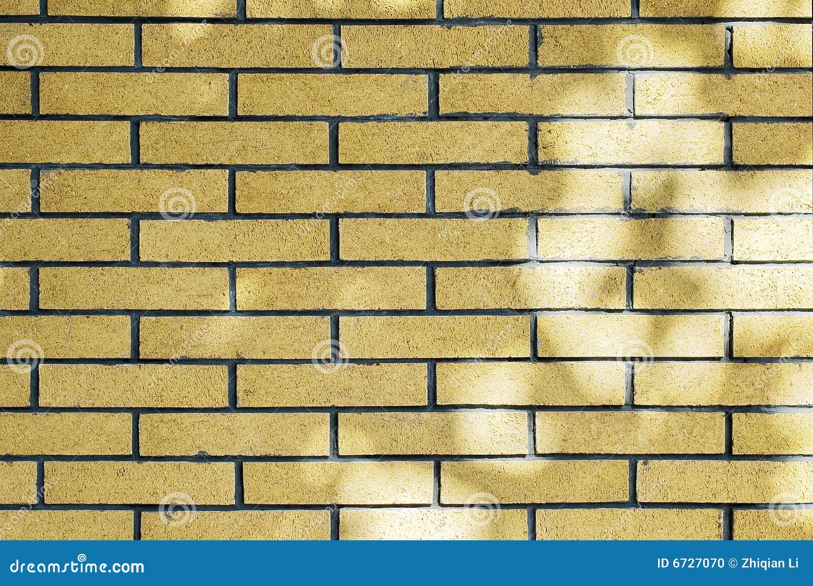 Groene gevel met buitenisolatie - Ecologieforum