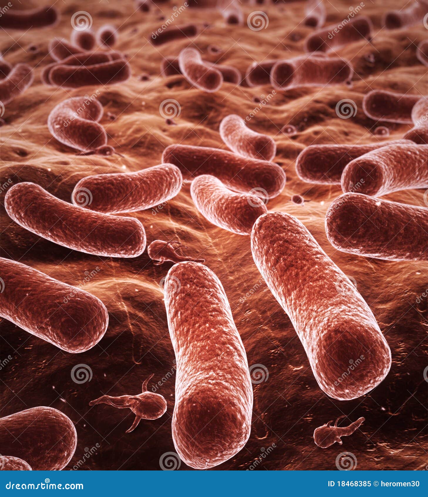 Bakteria Lizenzfreies Stockfoto - Bild: 18468385