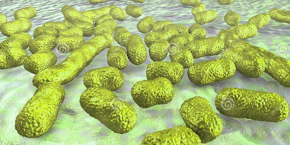 Bakterien-Acinetobacter Baumannii Stock Abbildung - Illustration von ... Bakterien-Acinetobacter Baumannii Stock Abbildung - Illustration von ...