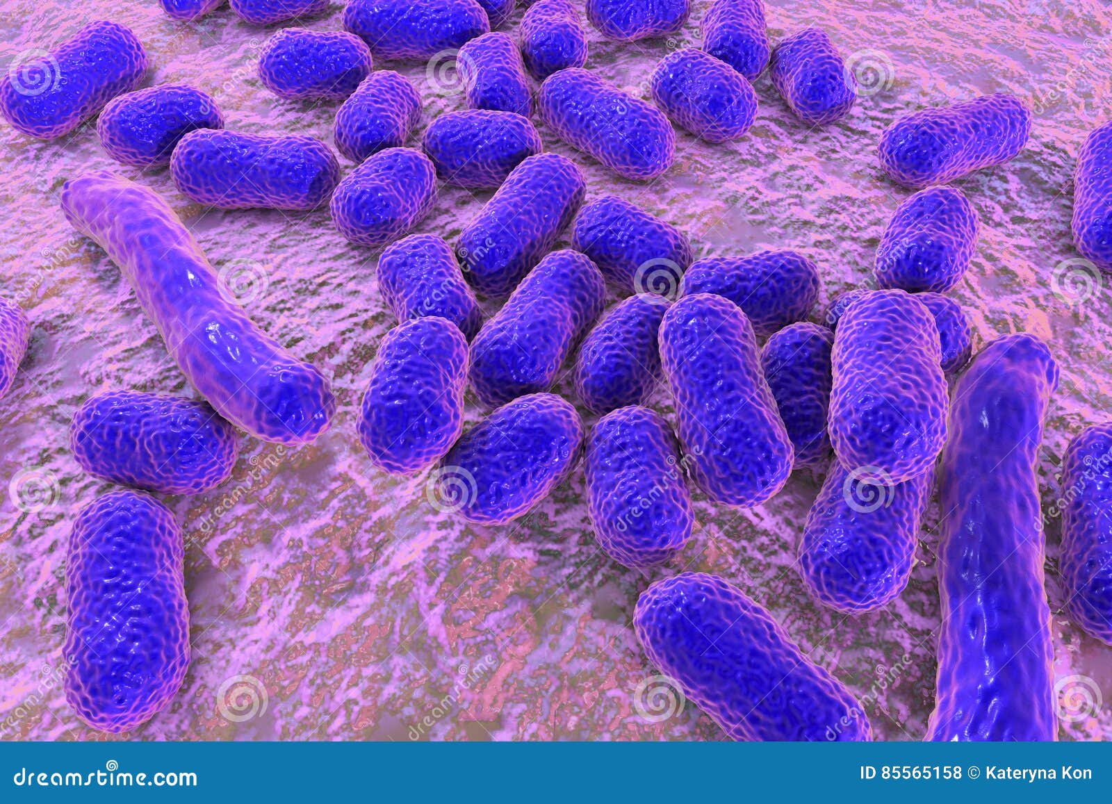 Bakterien-Acinetobacter Baumannii Stock Abbildung - Illustration von ... Bakterien-Acinetobacter Baumannii Stock Abbildung - Illustration von ...