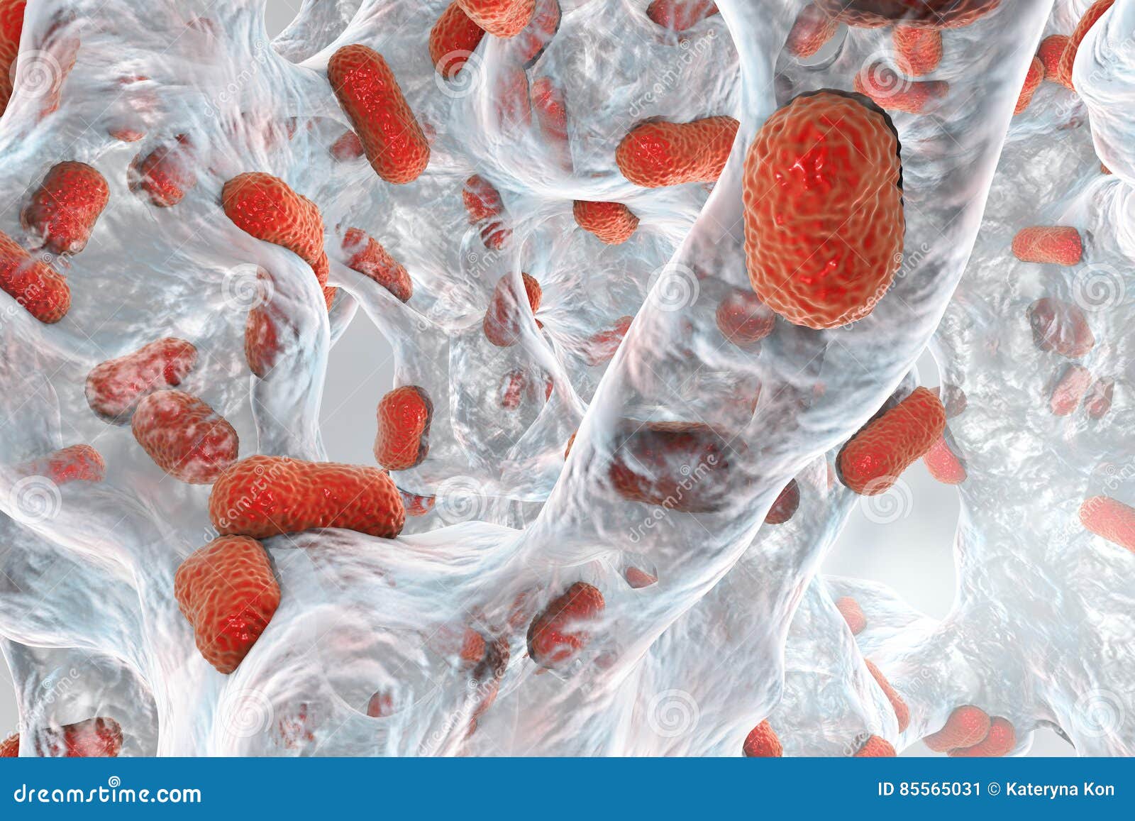 Bakterien-Acinetobacter Baumannii Innerhalb Des Biofilm Stock Abbildung ... Bakterien-Acinetobacter Baumannii Innerhalb Des Biofilm Stock Abbildung ...