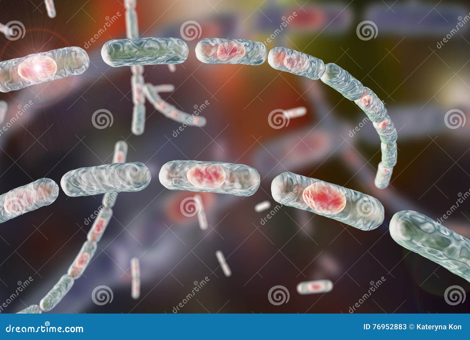 Bakterien-Bazillus Anthracis Stock Abbildung - Illustration von makro ...