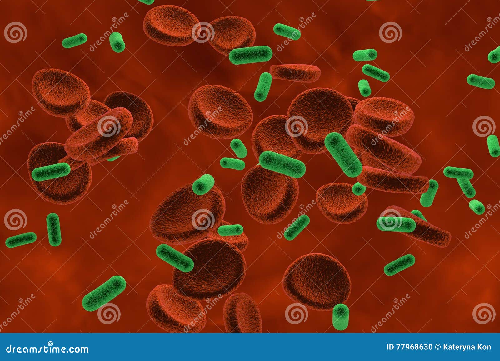 Bakterien Im Blut, Bacteriemia Stock Abbildung - Illustration von ...
