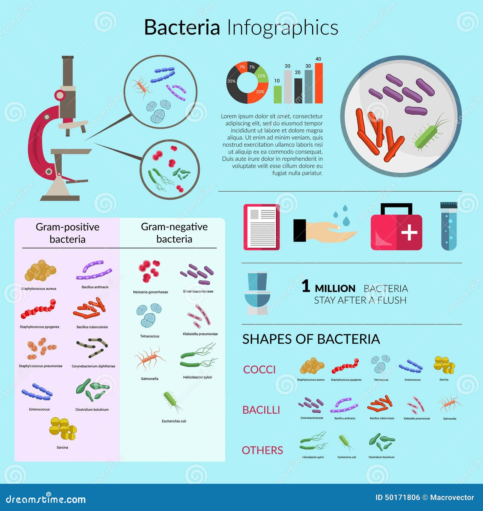 Bakterien Infographic-Satz vektor abbildung. Illustration von ...