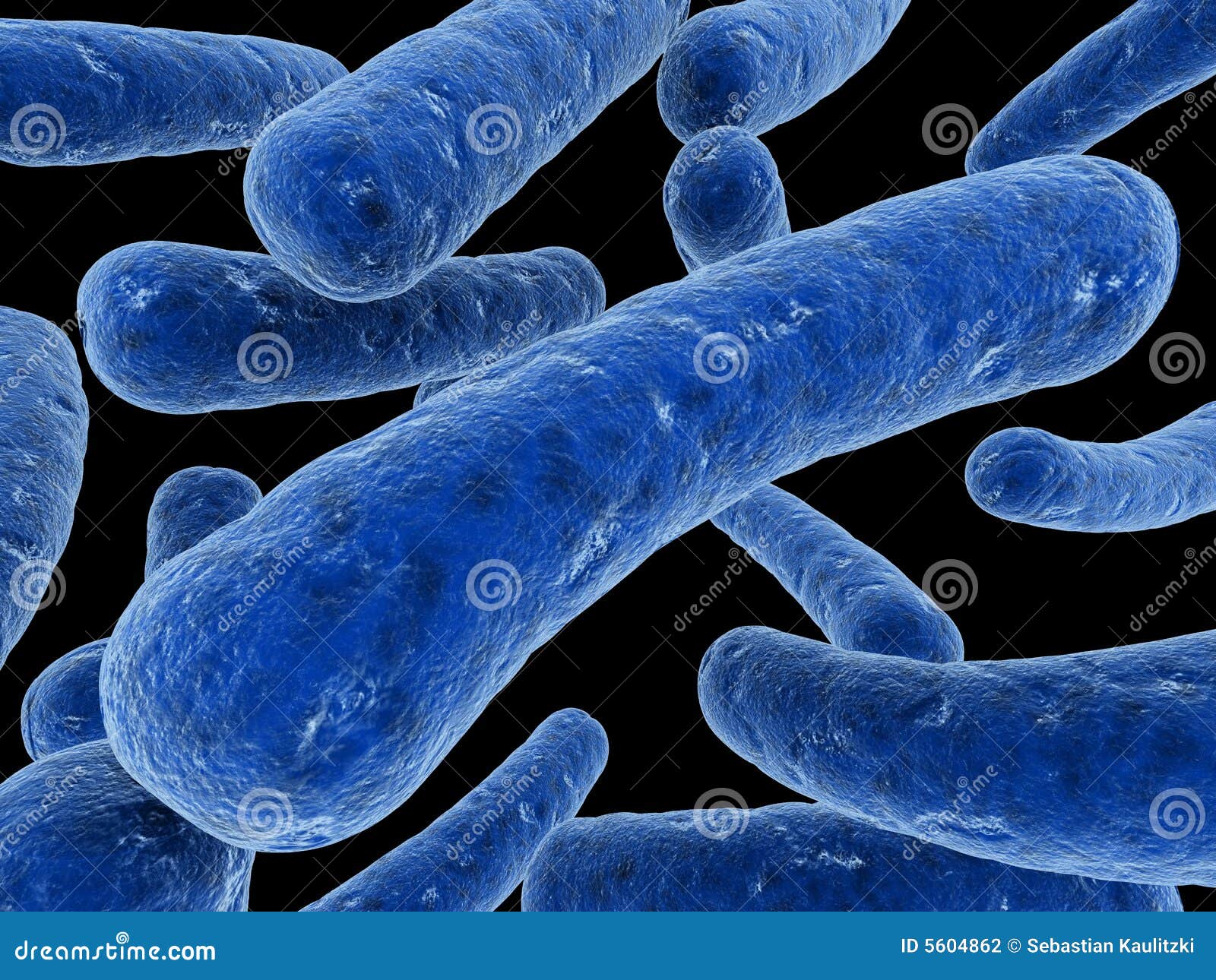 Bakterier stock illustrationer. Illustration av stänga - 5604862