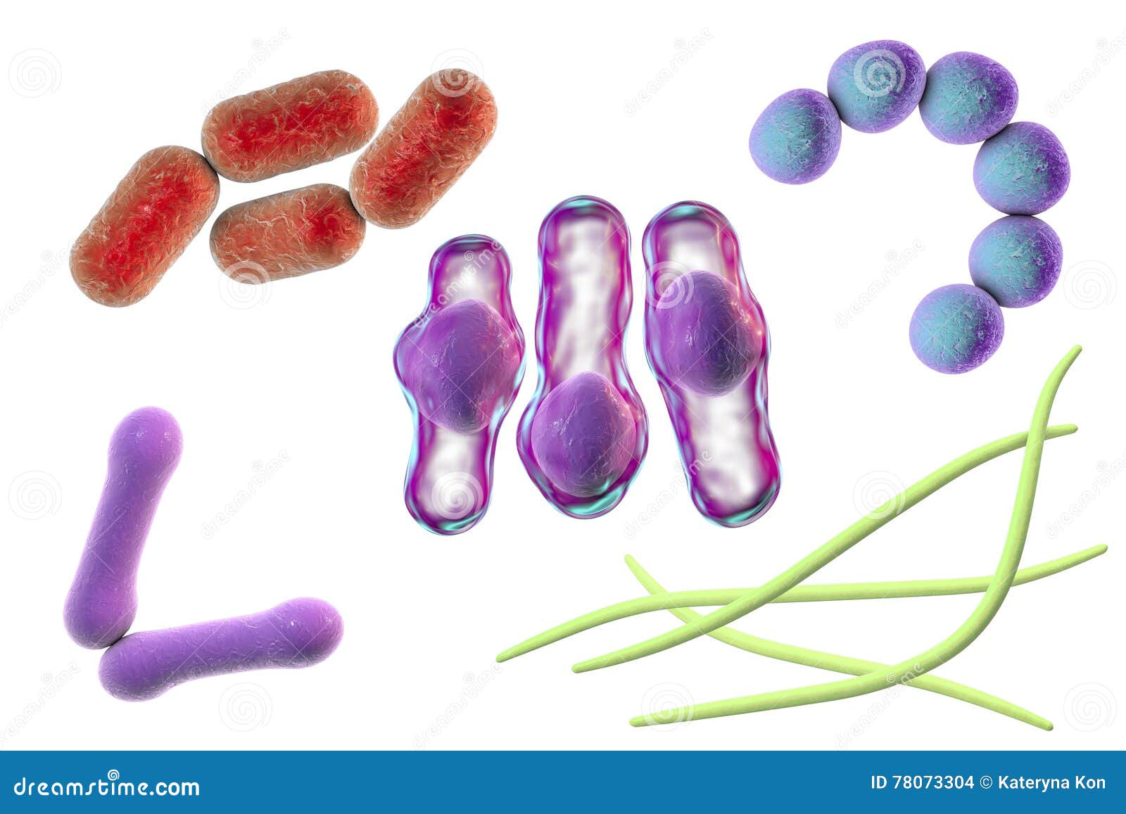 Bakterier av olika former stock illustrationer. Illustration av sjuka ...