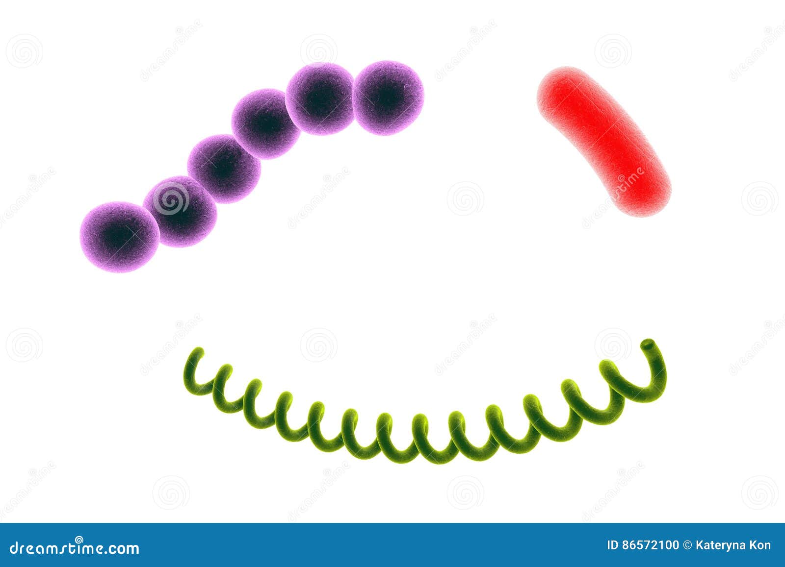 Bakterier av olika former stock illustrationer. Illustration av ...