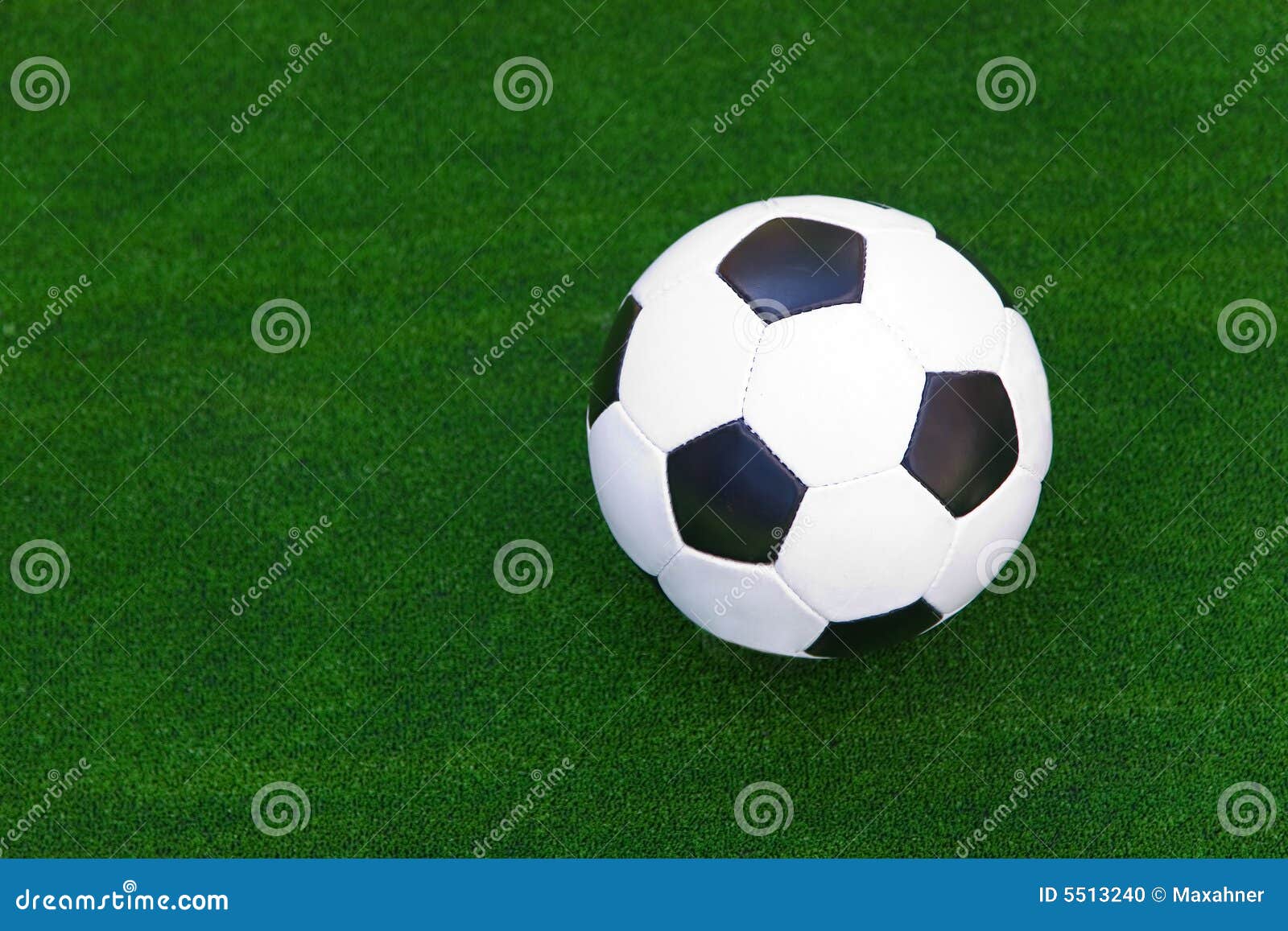 Bal In Het Groene Gras Picture. Image: 5513240