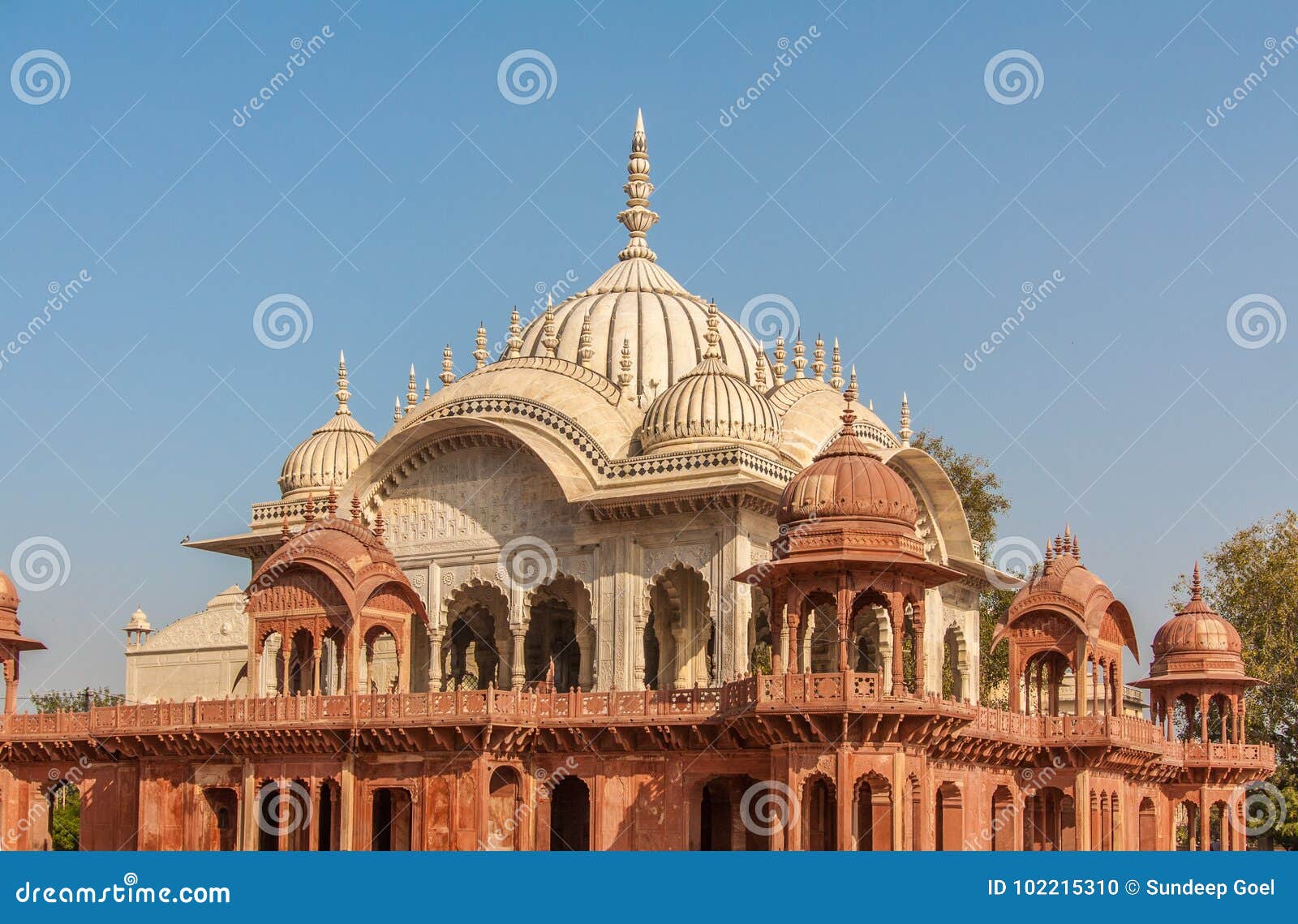 Bala Quila Royalty-Free Stock Photo | CartoonDealer.com #102214995