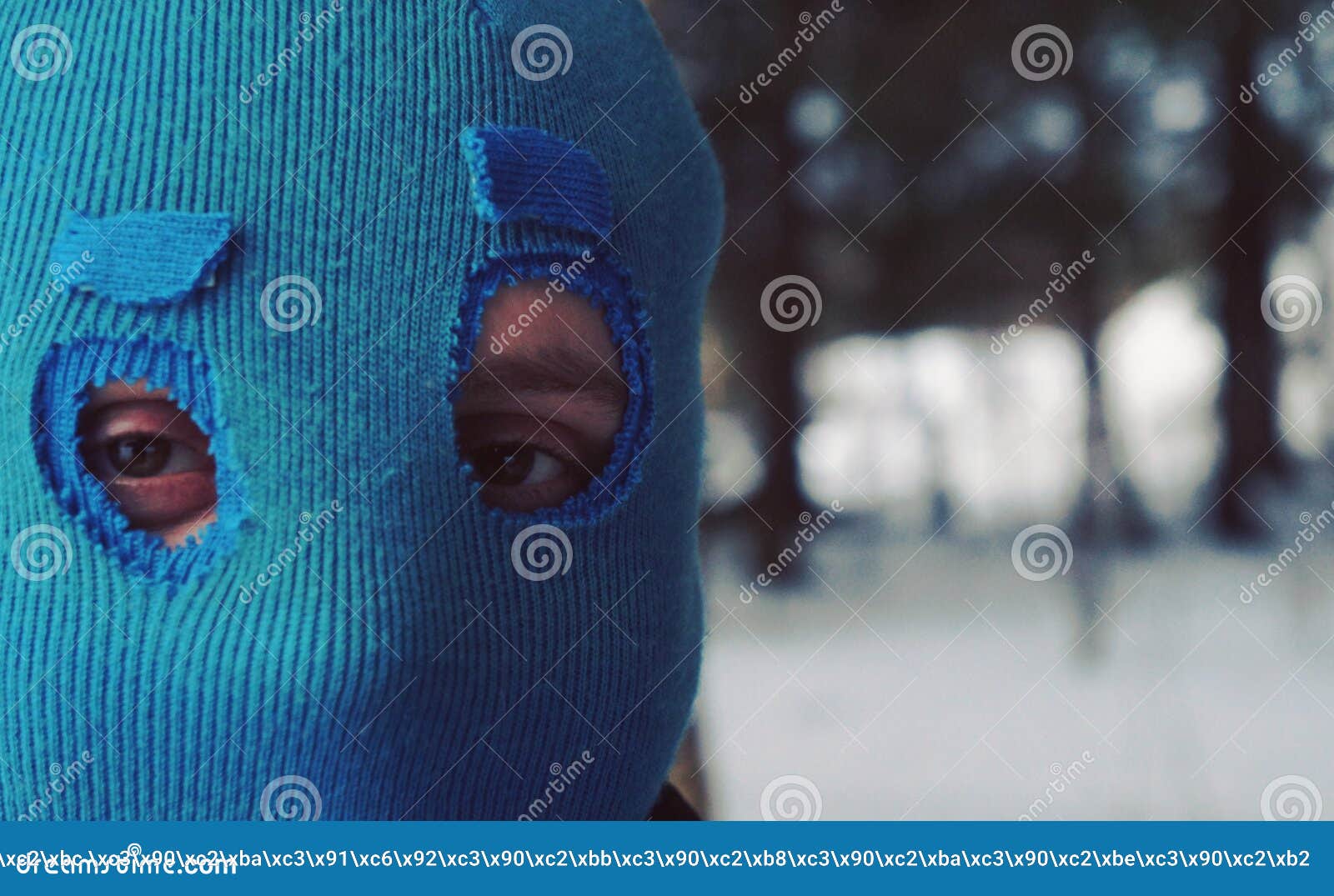 Balaclava stock photo. Image of woman, robber, close - 173368502