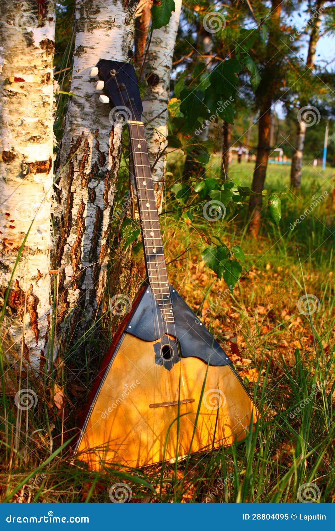 Balalaika stock image. Image of balalaika, leaf, stem - 28804095