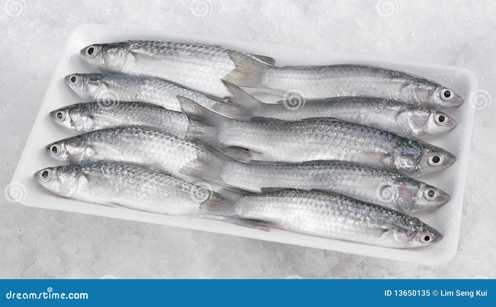Balanak Fish Royalty Free Stock Photo - Image: 13650135