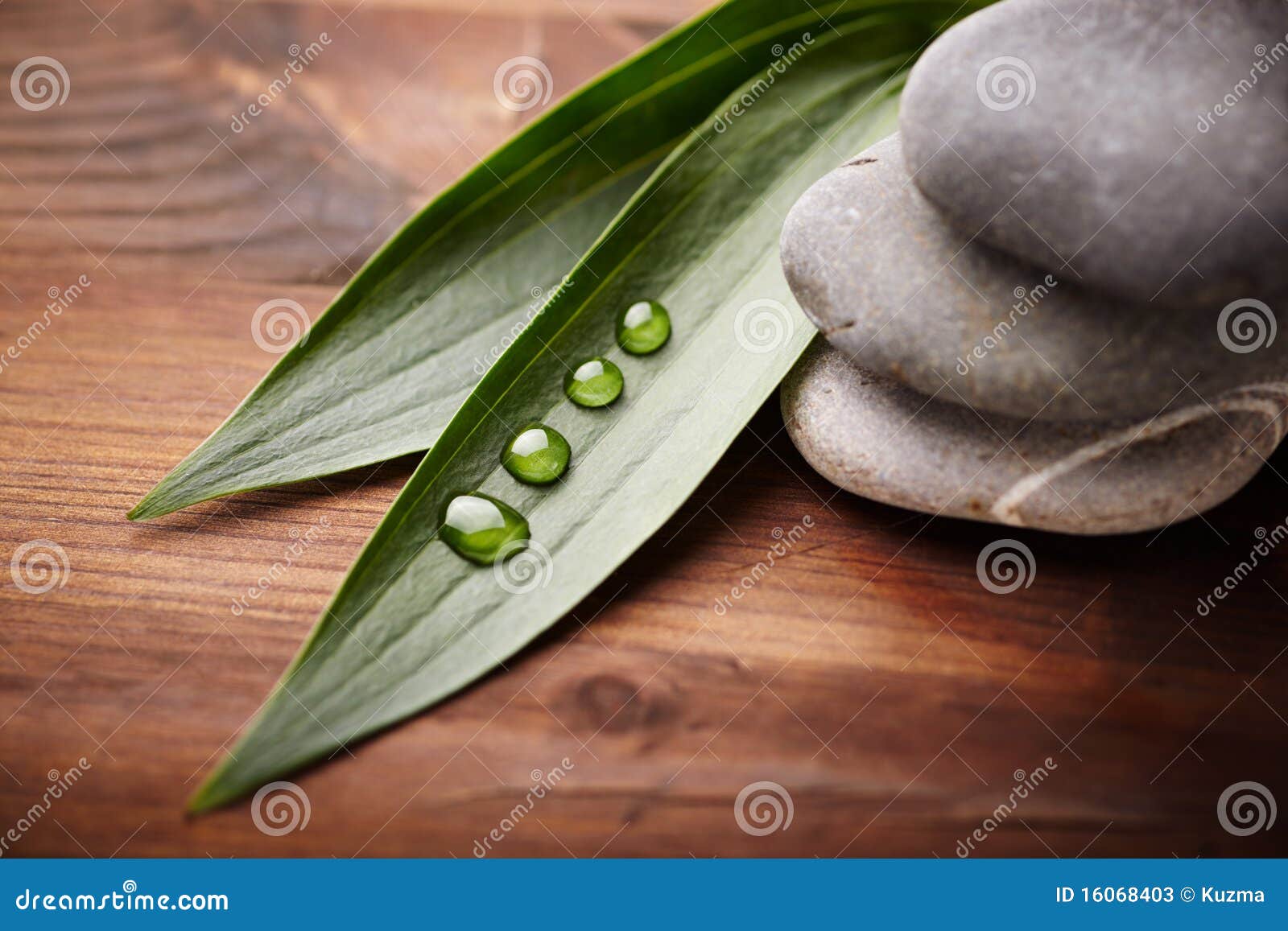 Balance stock image. Image of wooden, leaf, balance, backgrounds - 16068403