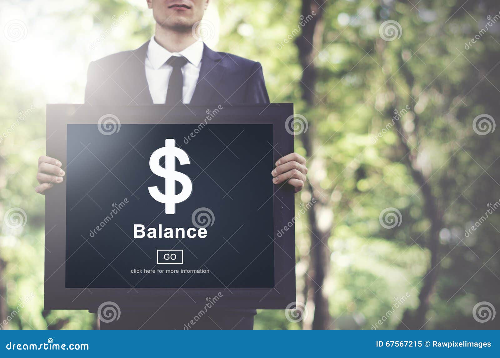 Balance Analysis Dollar Sign Interface Concept Stock Image - Image of ...