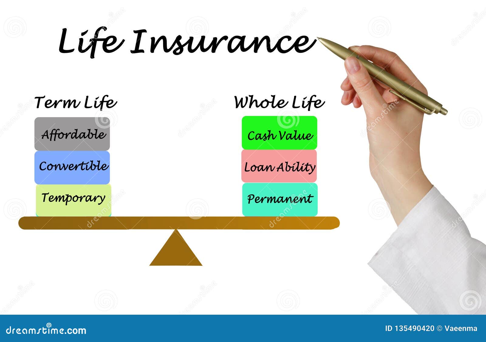 Two Types of Life Insurance Stock Photo - Image of balance, female ...