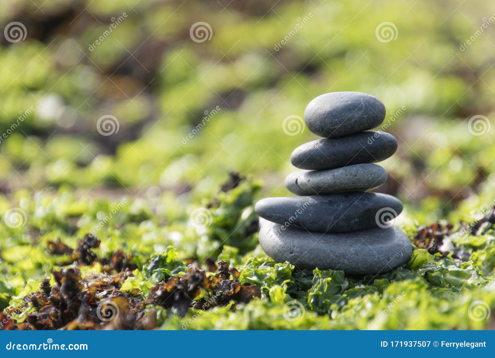 Balance and Harmony in Nature Stock Image - Image of meditation, beach ...