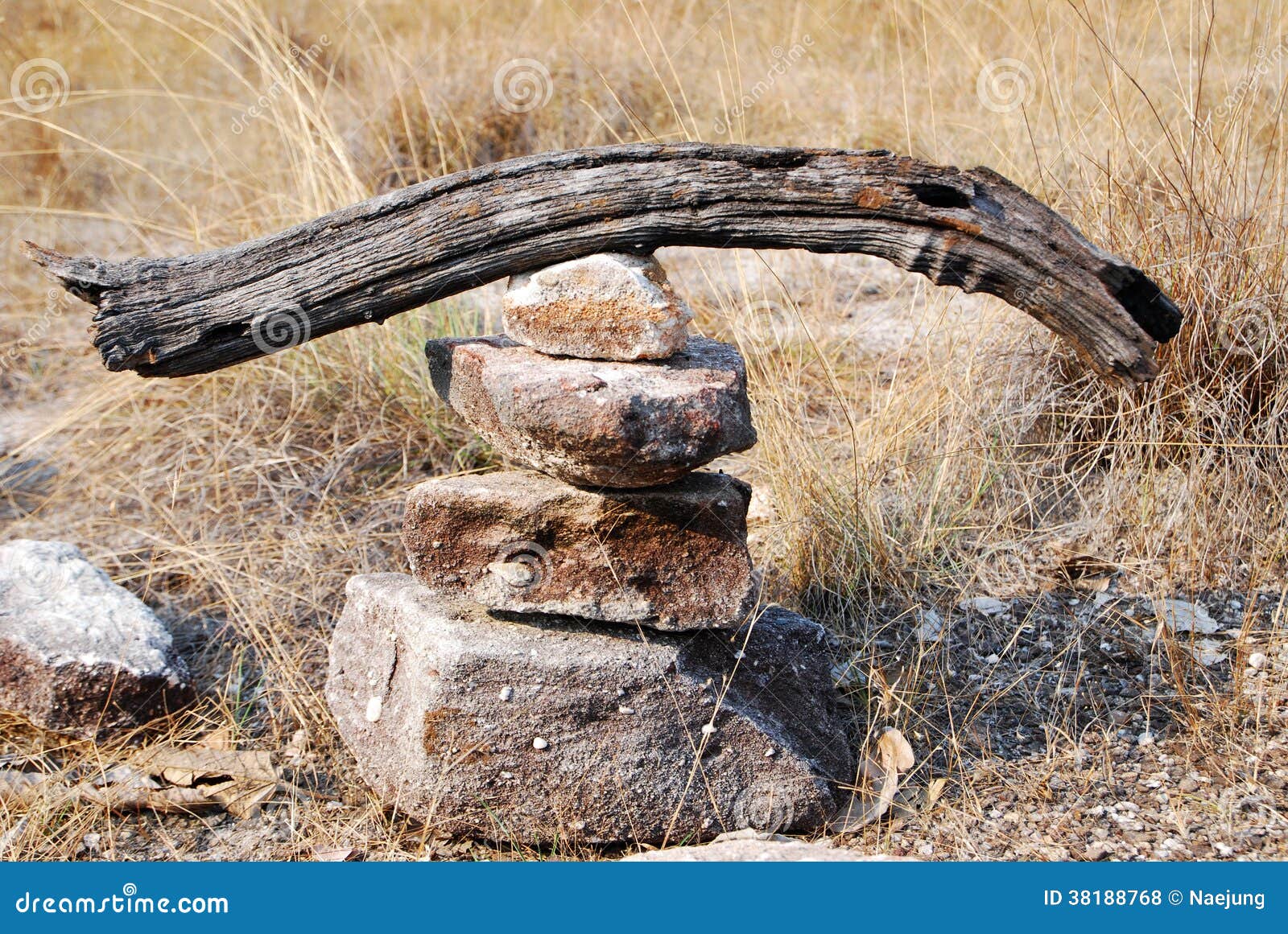 Balance log stock photo. Image of board, leadership, imbalance - 38188768